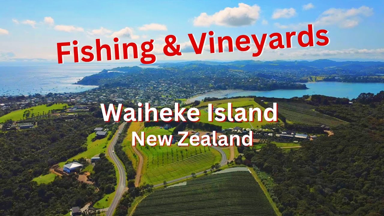 FISHING & WINE TASTING New Zealand - YouTube