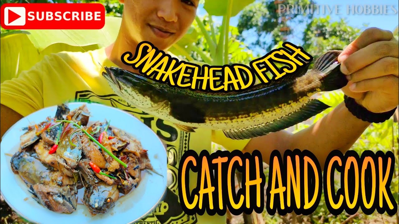 Catch and Cook | Snake head fish (Dalag) - Ginataang dalag with coconut ...