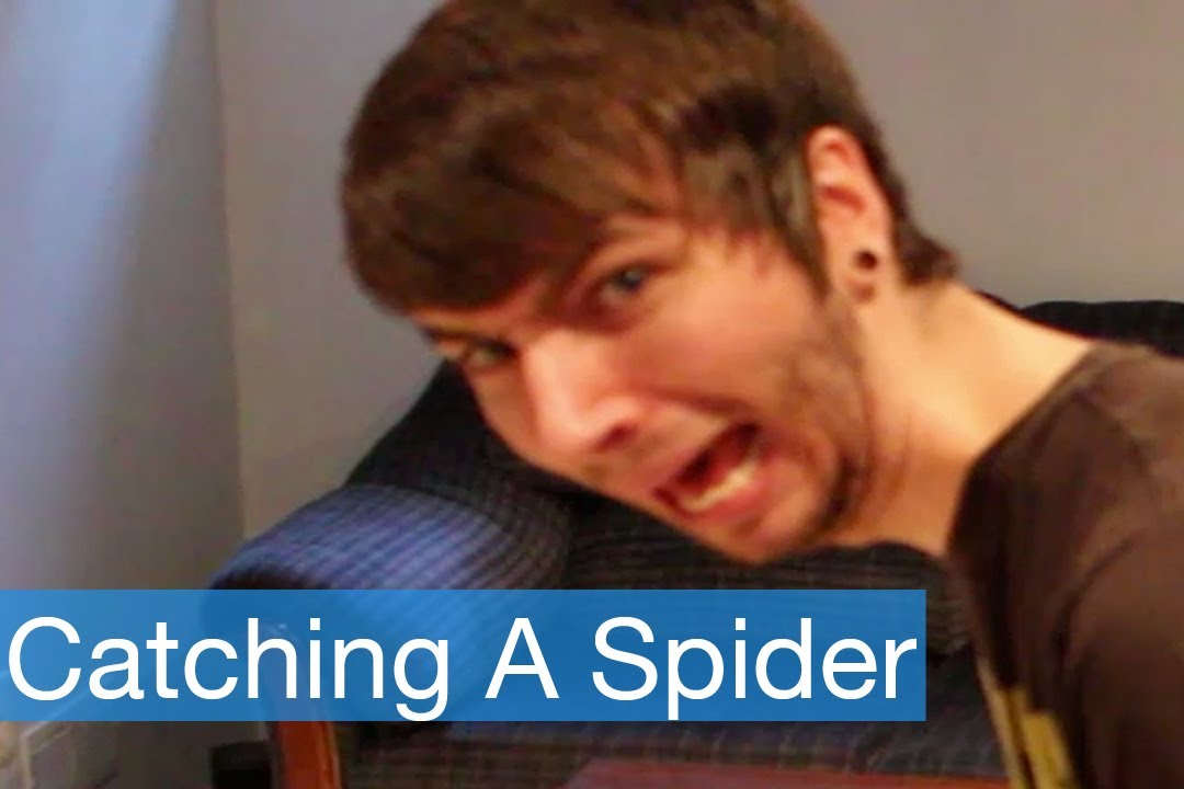 How To Catch A Spider! - YouTube