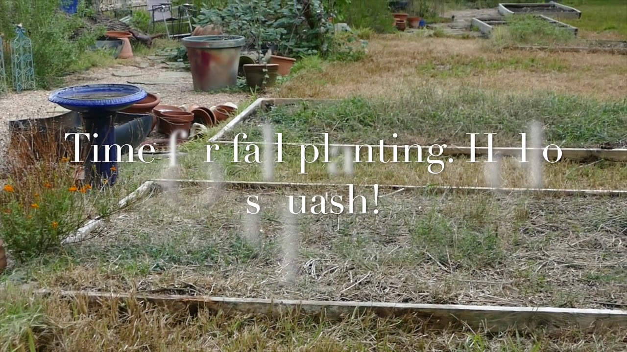 Organize Garden San Antonio Honey Do Chores - Ashley Sprague - YouTube