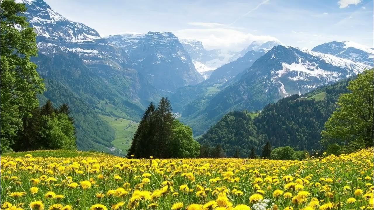 Edelweiss Film「The Sound of Music」1965 - YouTube Edelweiss Film「The Sound of Music」1965 - YouTube