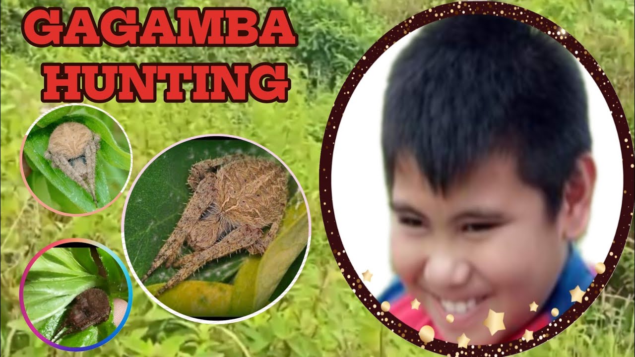 MAY GAGAMBA TALAGA HINDI NAG IIWAN NG SAPOT KAPAG ARAW. #gagamba # ...