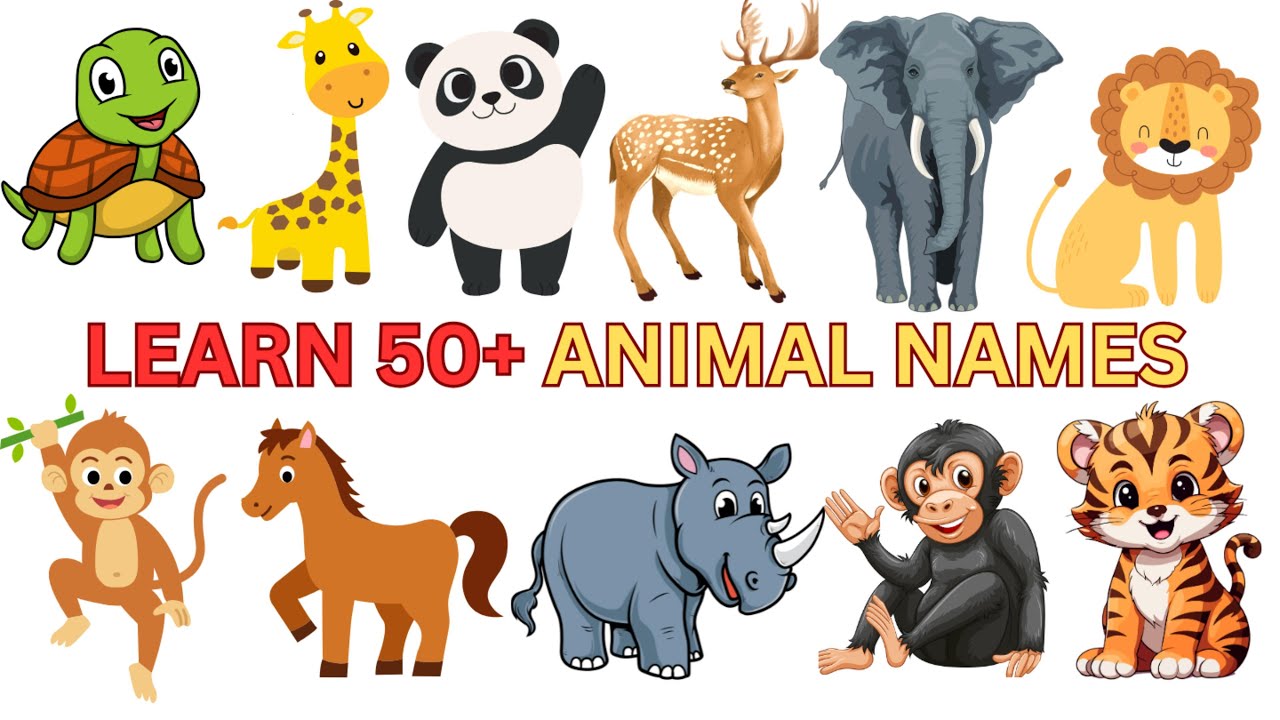 50+ Animal Names to Learn | Learn Animal Names in English - YouTube