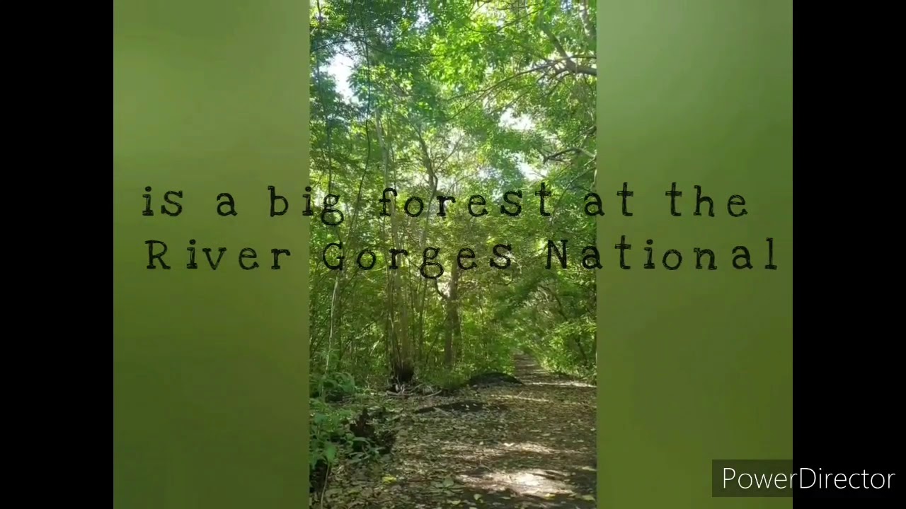 Some natural features of the environment - YouTube