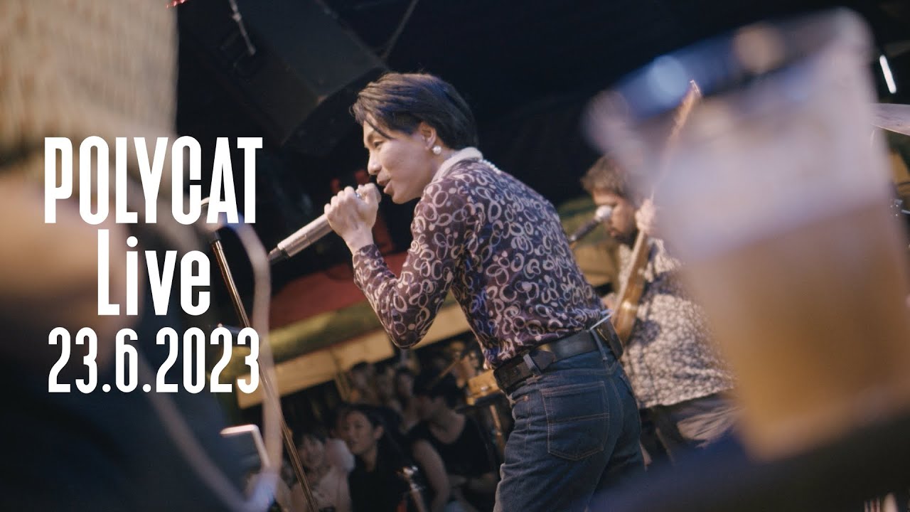 Polycat live @ story area by chokdee25 studio & cinegeek production # ...