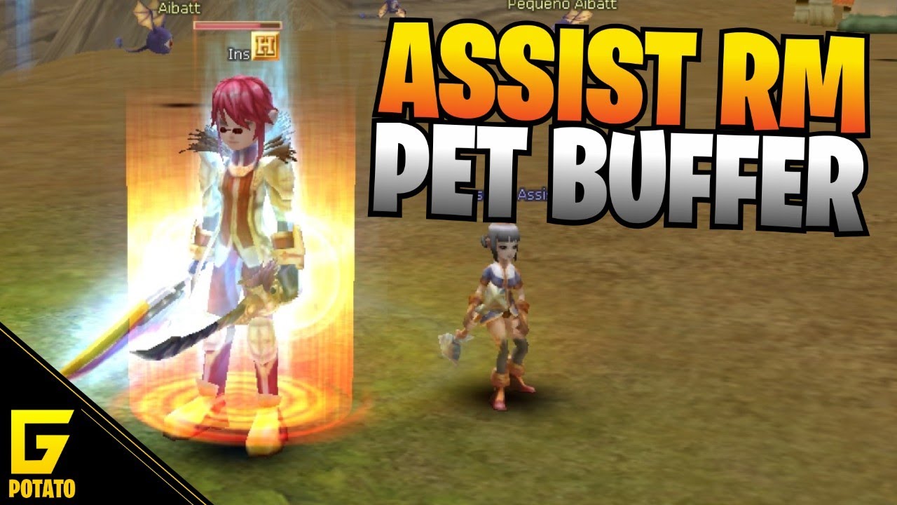 FLYFF BRASIL GPOTATO ASSIST E RINGMASTER PET BUFFER #FLYFFBRASIL - YouTube