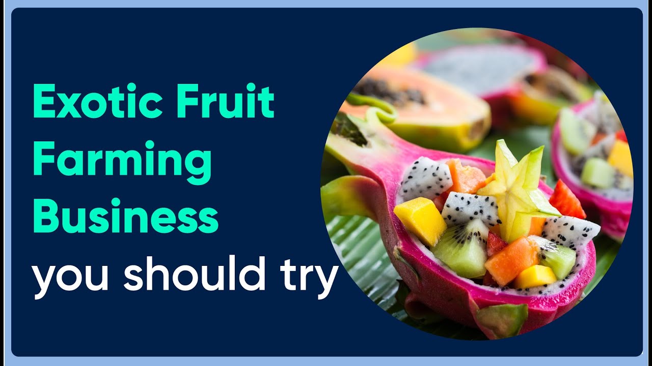 5 EXOTIC FRUIT Farming Business | Most Profitable Fruit Plants to Grow ...