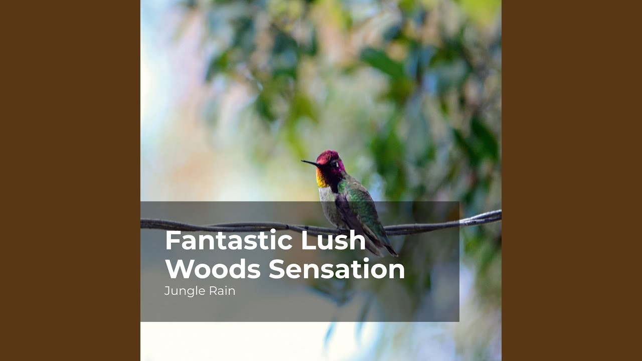 Birds in Whooshing Wind - YouTube