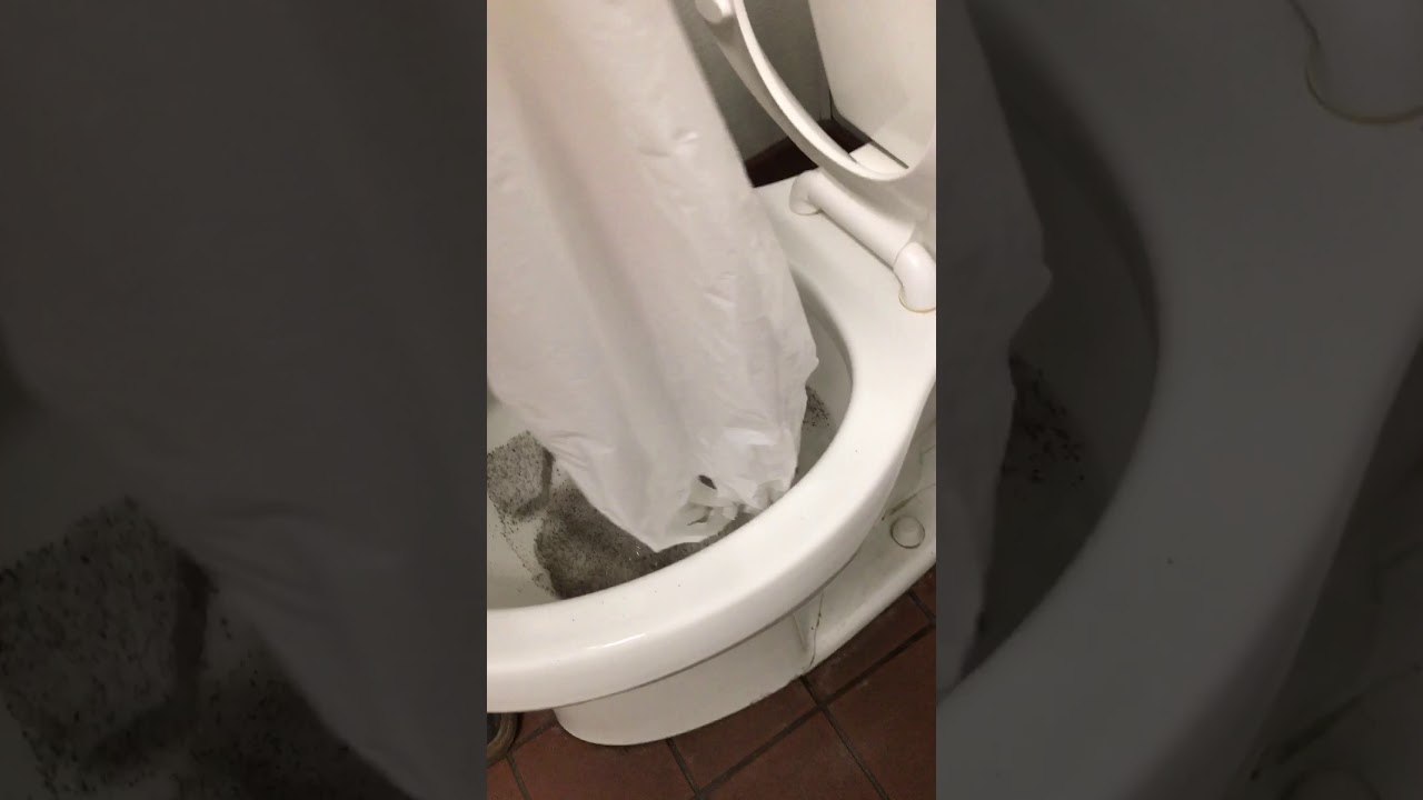 2 idiots destroying toilet by filling it was salt and pepper - YouTube