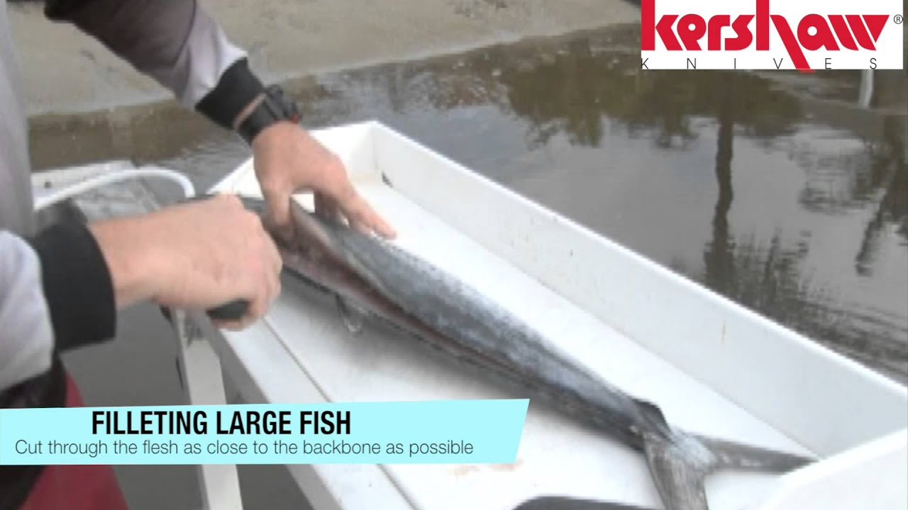 Filleting Large Fish - YouTube