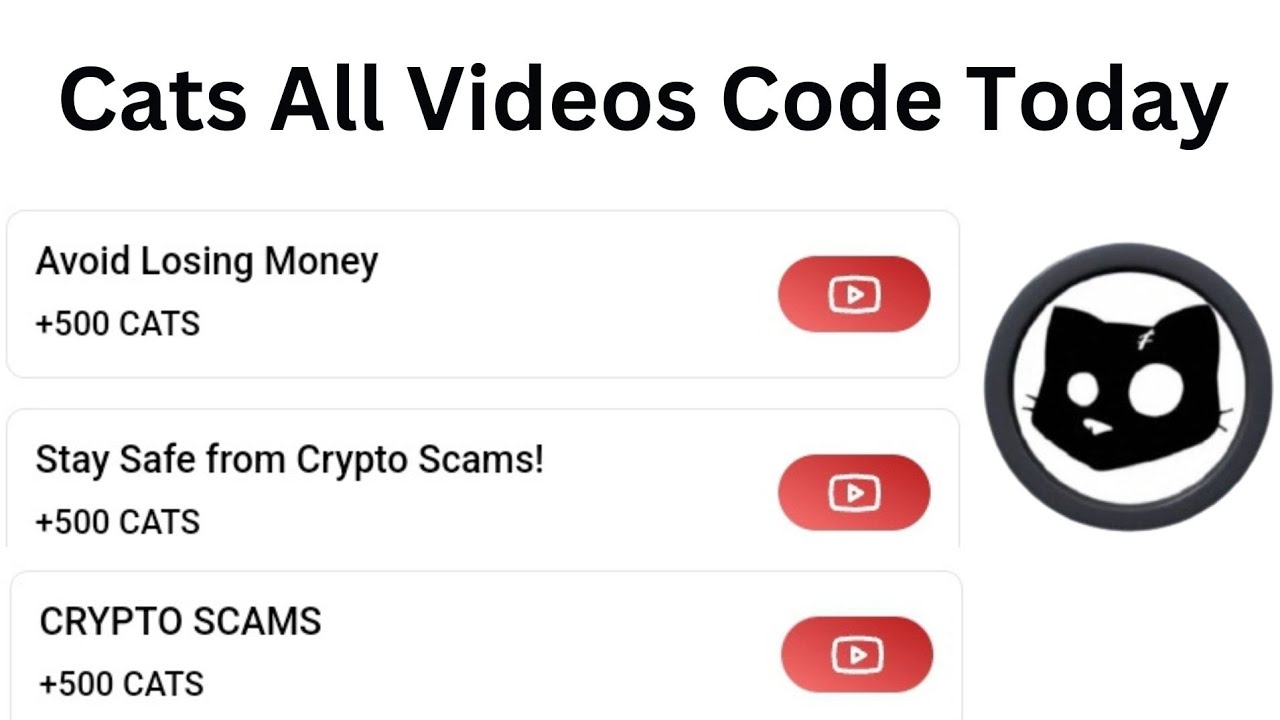 Cats Video Code Today Stay Safe from Crypto Scams & Avoid Losing Money | Cats Code Today | Code ...