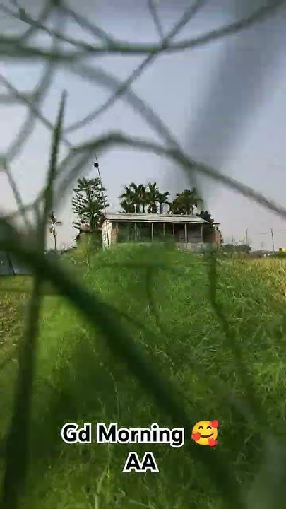 Gd Morning 🥰😊,#gdmorning #nature - YouTube