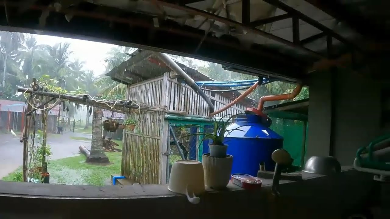 Thats not RAIN... THIS is RAIN...... - YouTube