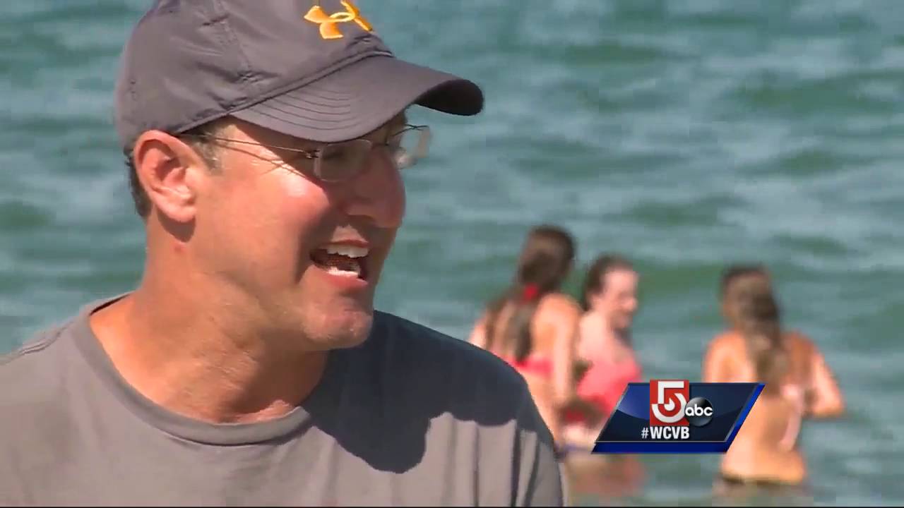 Harbormaster warns of possible shark sighting - YouTube
