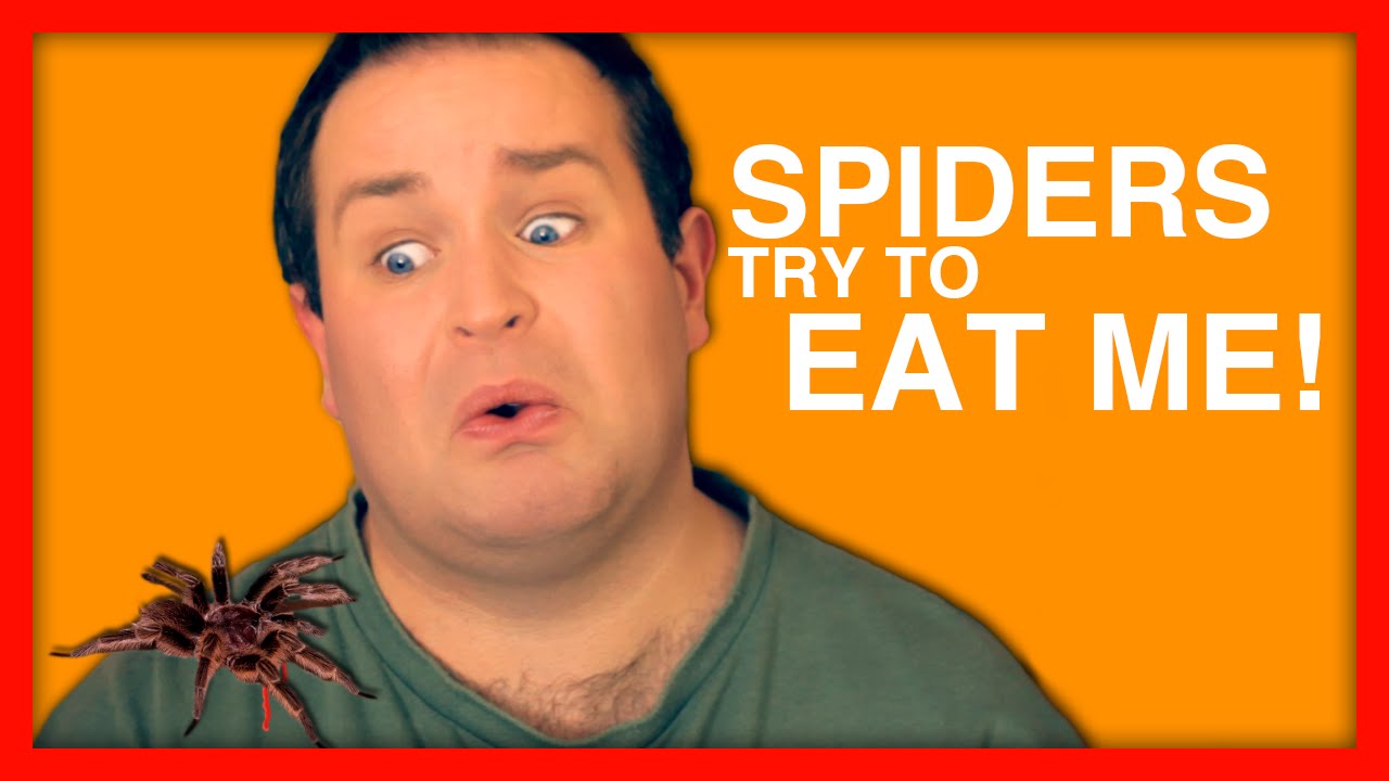 SPIDERS EAT PEOPLE! | Weird Questions Tag - Love4MusicUK (Jason O ...