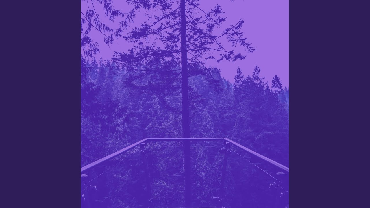 Beautiful Ambience for Calming Mornings - YouTube