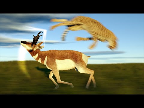 Americas' Secret Top Tier Animal