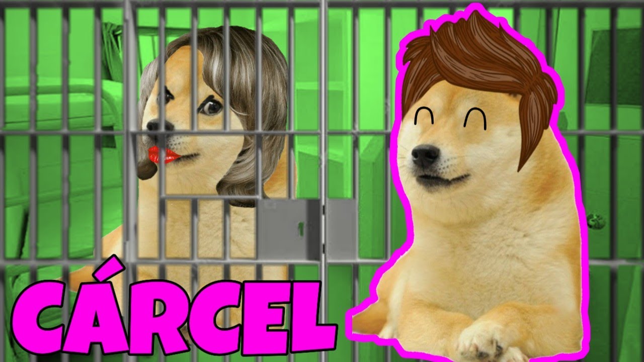 ABRO HILO - MADRE CON DERECHO a la CARCEL por ROBAR mi laptop 2da PARTE || hilos con cheems ...