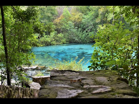 Snorkeling Ichetucknee Head Springs a Natural Florida Spring at ...