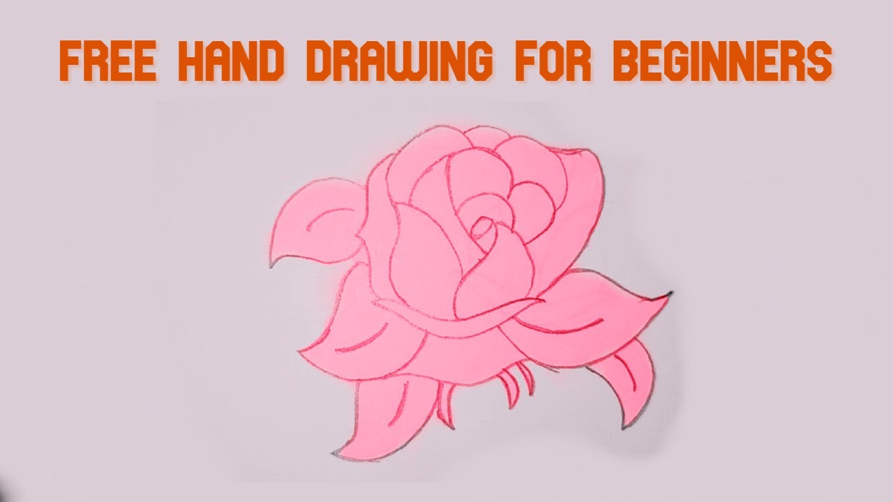 Free hand drawing for beginners - YouTube