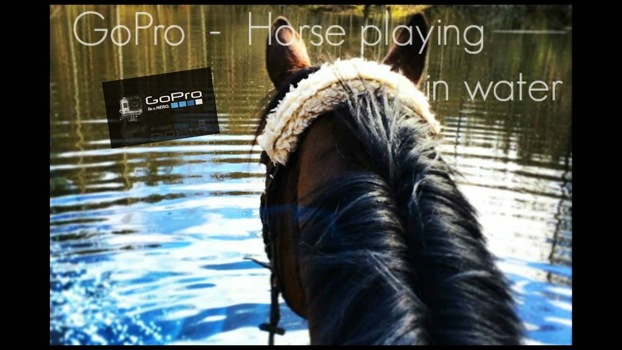 GoPro: Horse riding - Playing in Water - YouTube