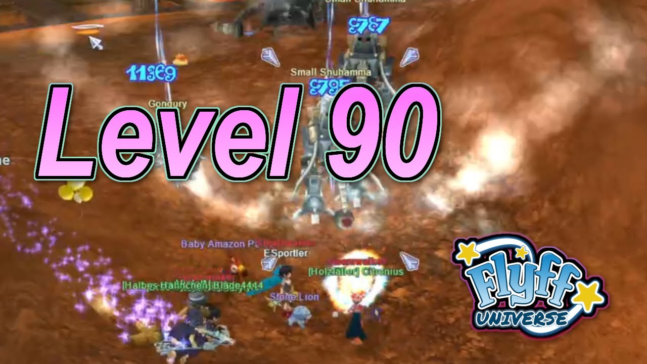 Flyff Universe - Level 90! Langsam zieht es sich auch mit Hit and Run ...