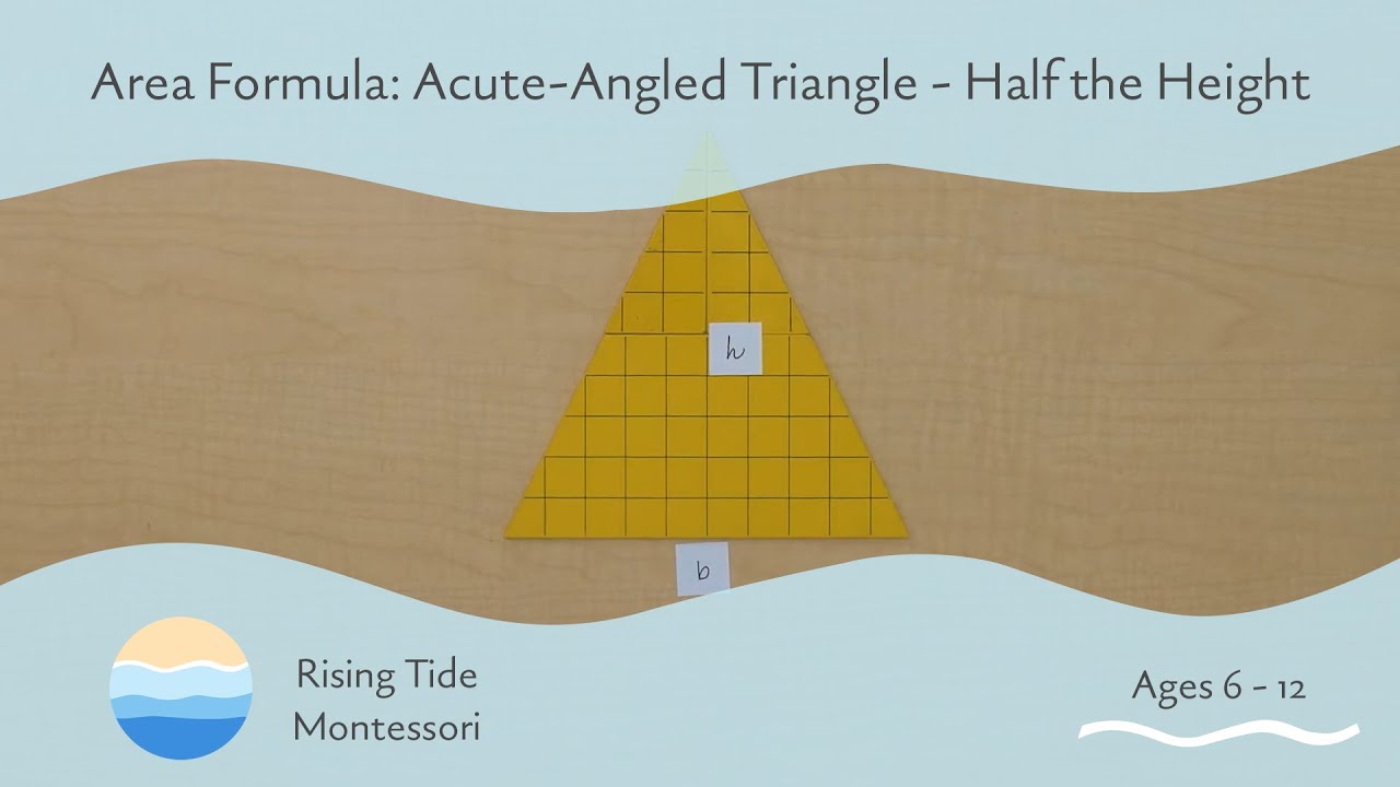 Area Formula: Acute-Angled Triangle - Half the Height - YouTube