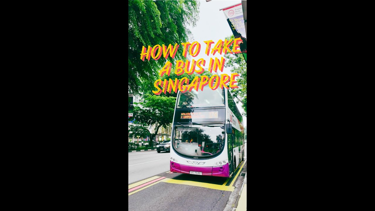 How to use bus - YouTube