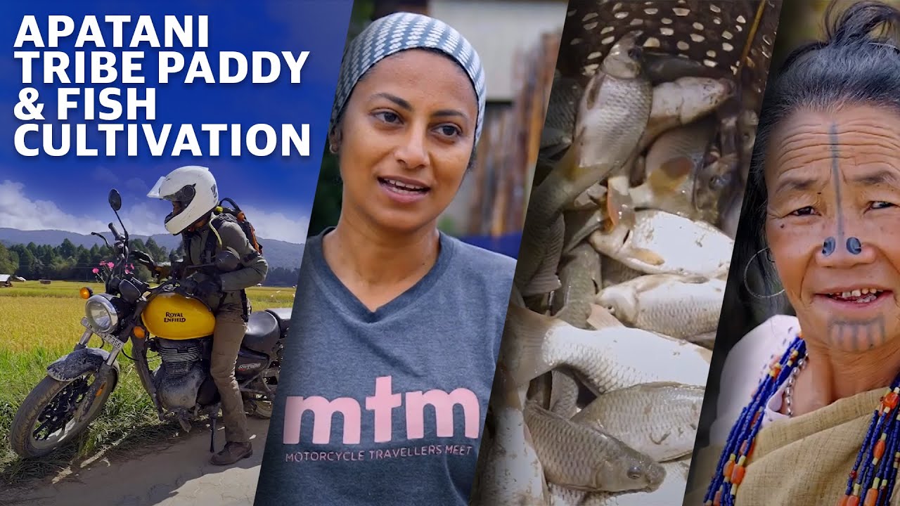 Apatani Tribe Paddy & Fish Cultivation | UNESCO X Royal Enfield - YouTube