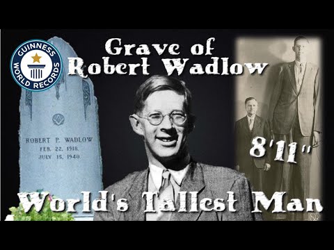 Grave of Robert Pershing Wadlow (World's Tallest Man) - Alton, Illinios ...