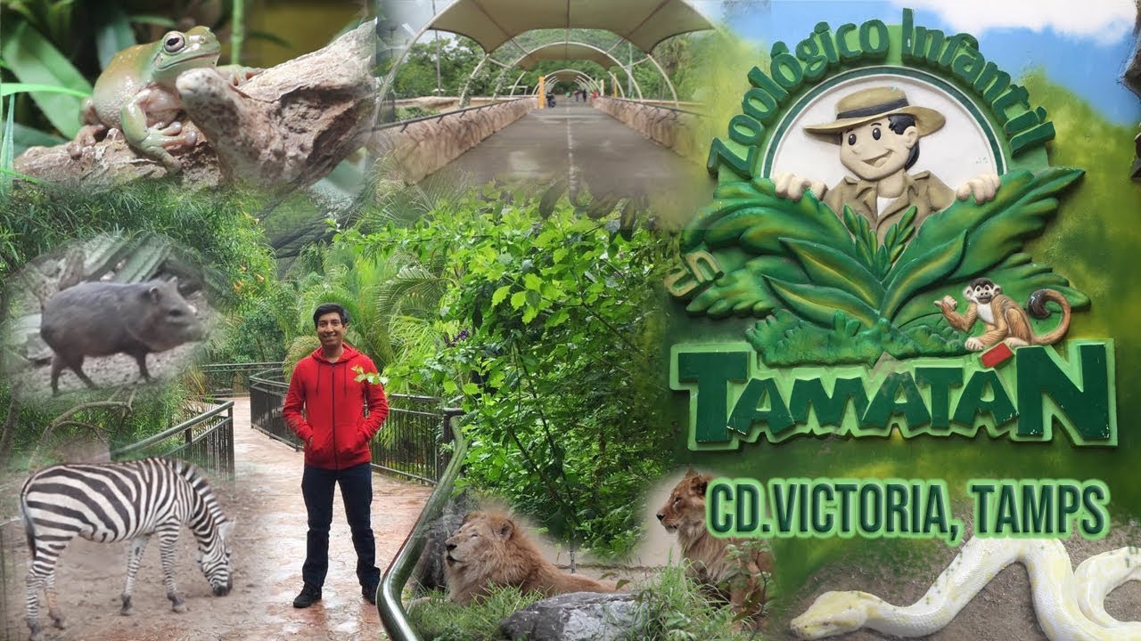 ZOOLÓGICO DE TAMATAN | CD VICTORIA, TAMPS. - YouTube