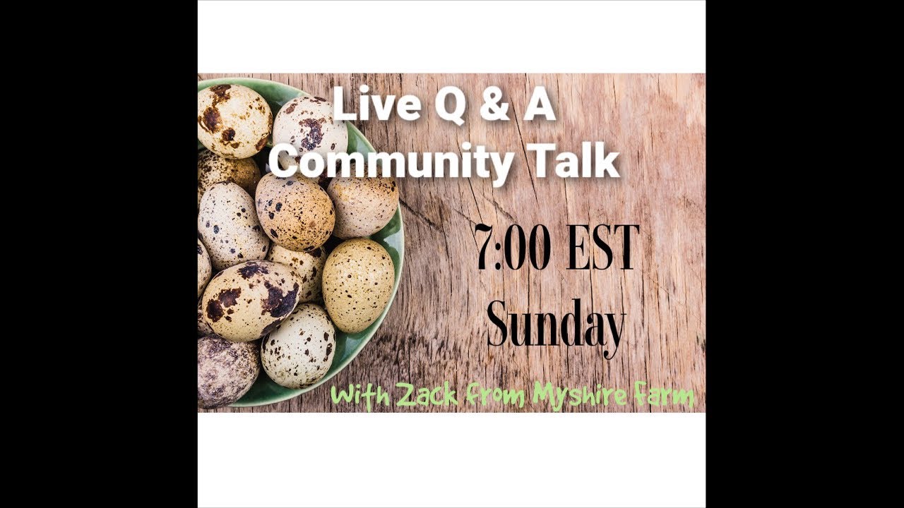 LIVE Q&A WITH MYSHIRE FARM!!!!! - YouTube