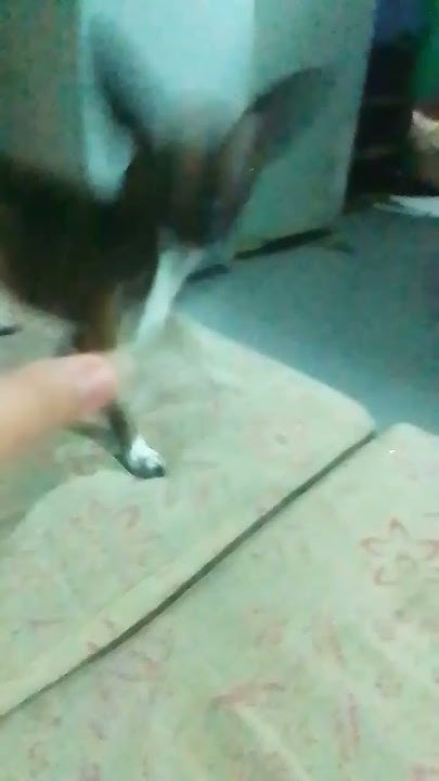 2 de marzo de 2024 - YouTube