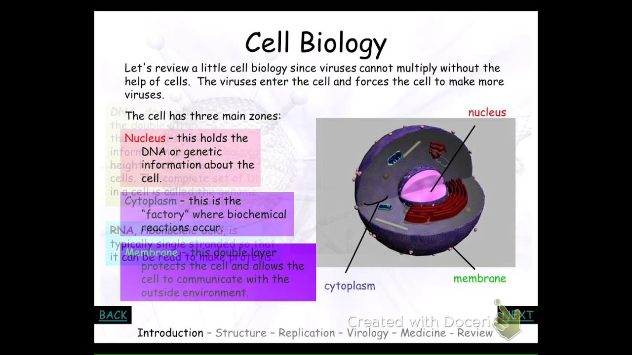 mr. Anderson-What's a Virus - YouTube