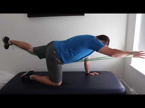 Bird Dog With Exercise Band SD 480p - YouTube