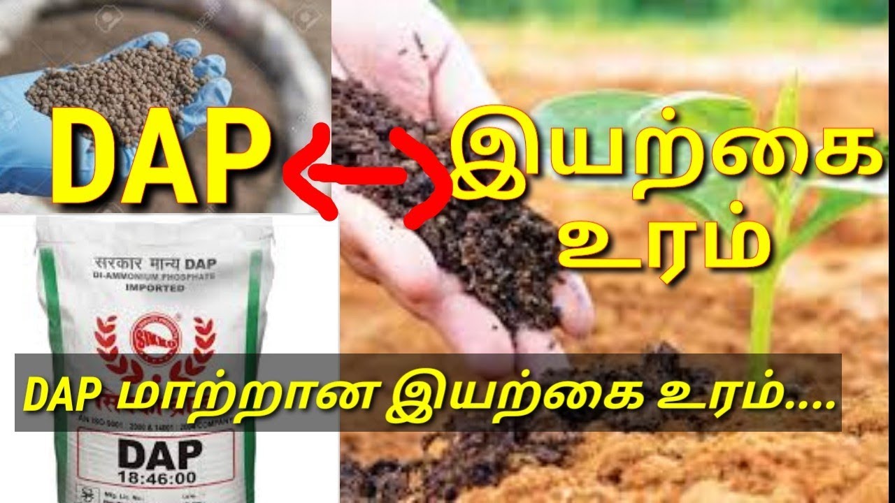 DAP மாற்றான இயற்கை உரம்...... - YouTube