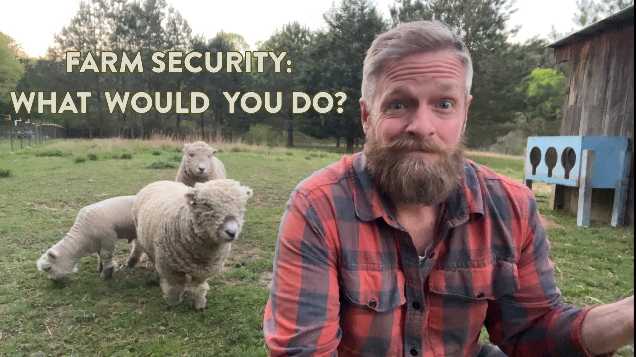 Which Livestock Guardian Animal Would YOU Choose? - YouTube