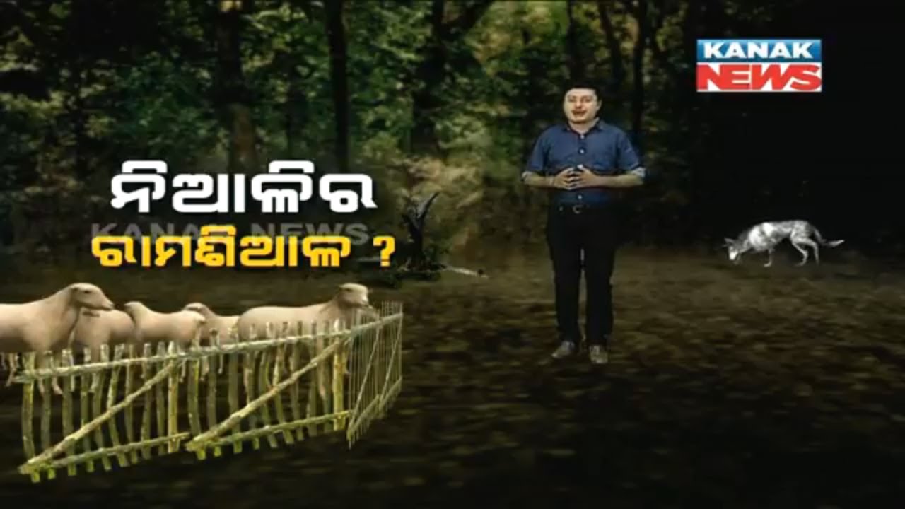 Damdar Khabar: Villagers Trap An Animal Resembling To Rama Siala ...