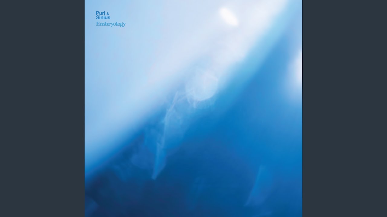 The Light of Dawn - YouTube