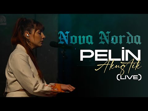 Nova Norda - Pelin | Akustik (Live)
