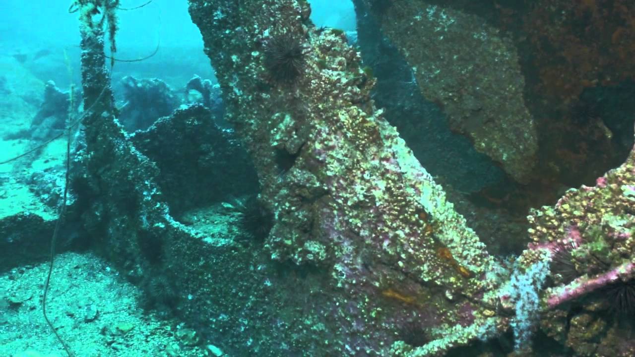 Diving the Wreck of the British Splendour-HD - YouTube