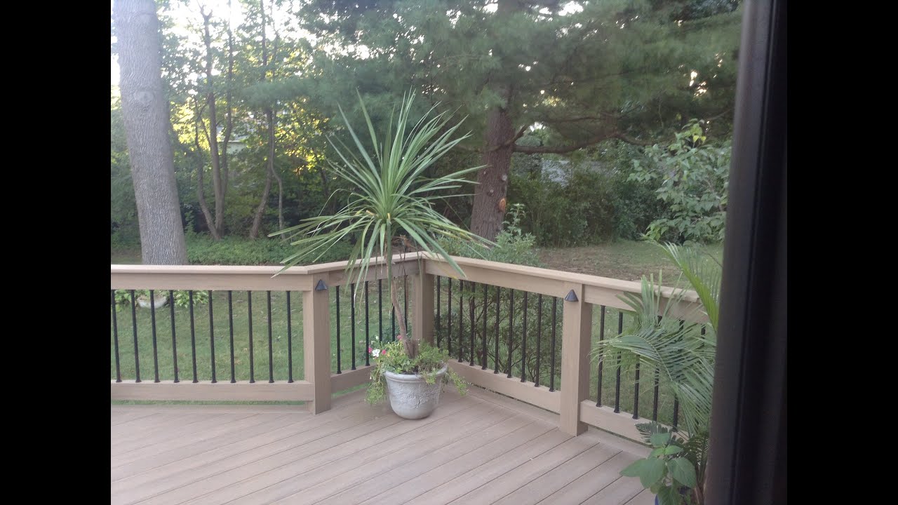 folsom fox - YouTube