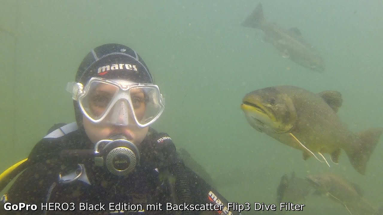 GoPro HERO3 Unterwasser Test mit Backscatter Dive Filter - YouTube