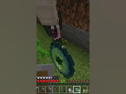 Moderator Uses Telekinesis to Find Stronghold! #minecraft #shorts # ...