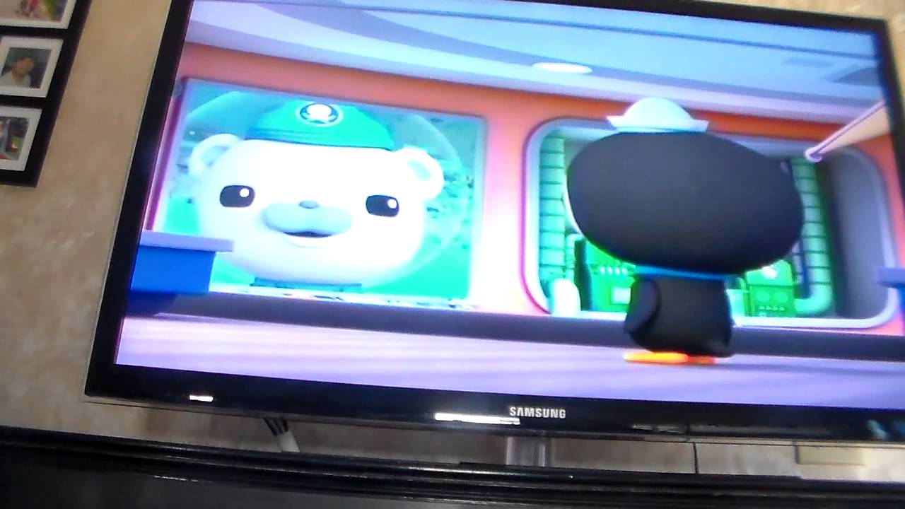 the octonauts and the pelicans - YouTube