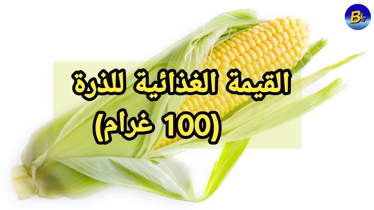 القيمة الغذائية للذرة لكل 100غرام Youtube