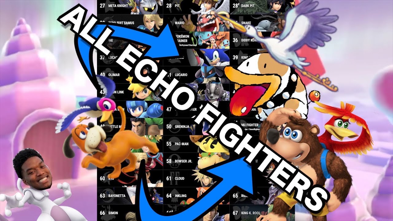 EVERY Echo Fighter For EVERY Character!!! [All Possible Echo Fighters/Funny] - YouTube