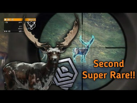 My Second Ever Super Rare has arrived!!|theHunter COTW - YouTube