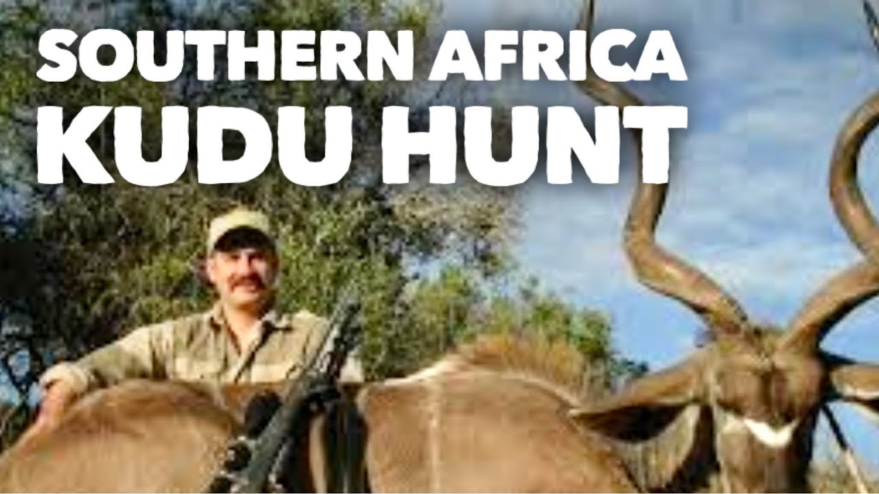 Lesser Kudu Hunting