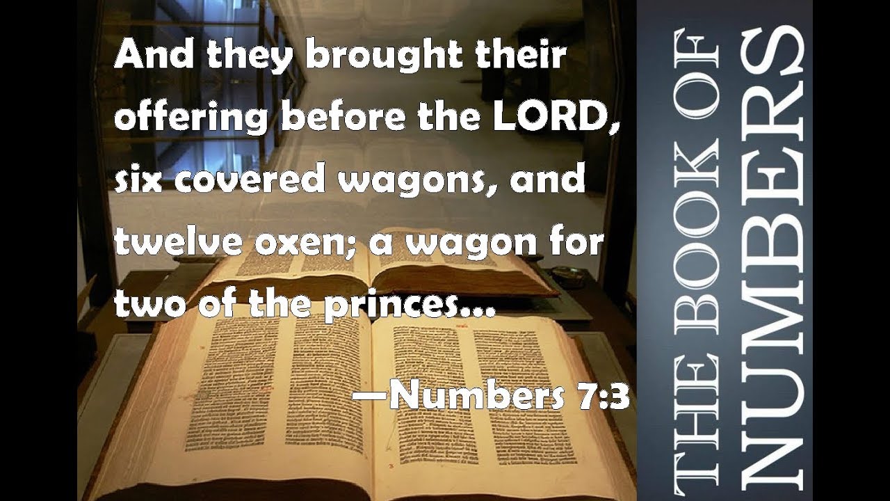 민수기 7장 [새번역] Numbers chapter 7 [너는 그들에게 제물을 받아서 레위 사람에게 주고, 각자 자기 맡은 일에 ...